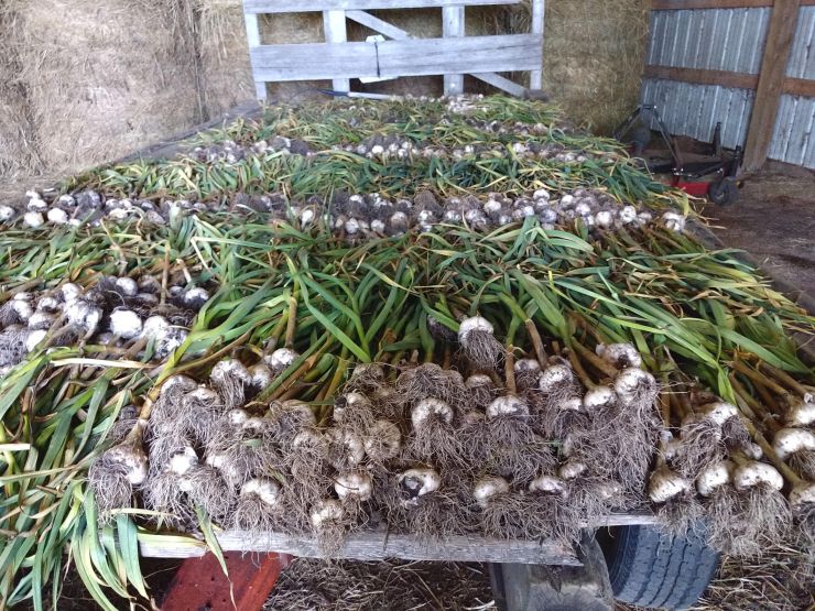 Produce & Teas – Prairie Horizons Farm LLC